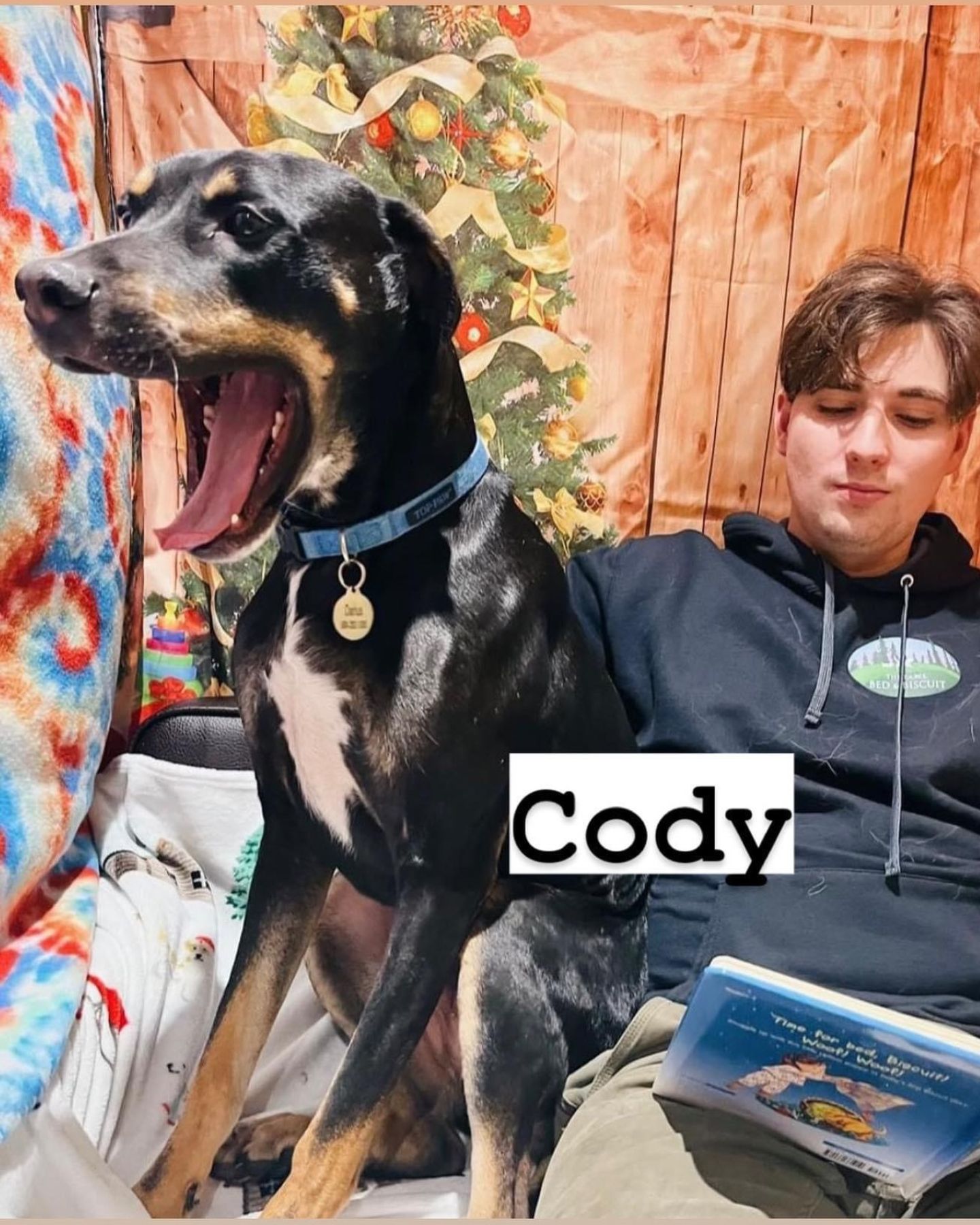 Dog Boarding Massachusetts - About Us - PAWS Bed & Biscuit